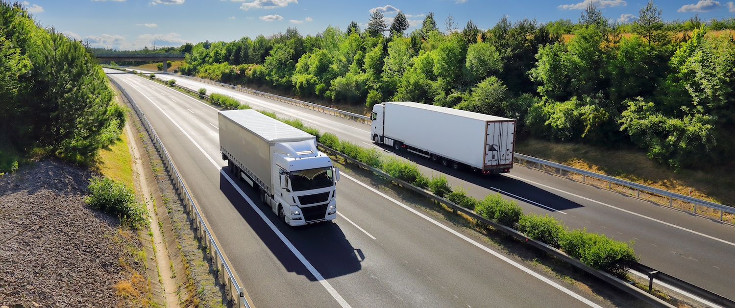 Contact | Avis Insurance